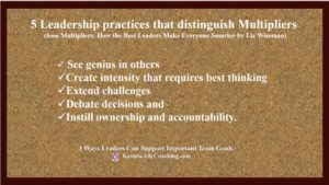 Leaders supporting Team Goals | Karmic Ally Coaching